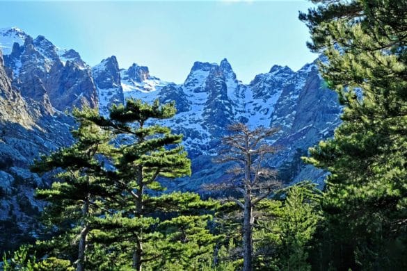 ROUTE DE BAVELLA – THE MOST BEAUTIFUL MOUNTAIN DRIVE IN CORSICA
