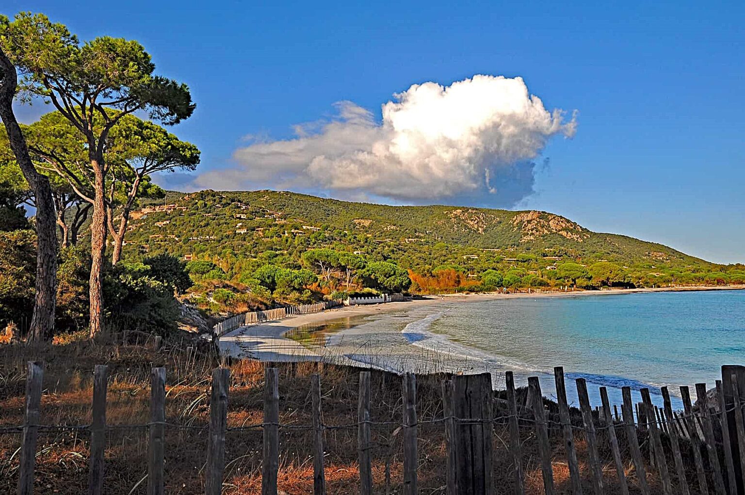 PLAGE DE PALOMBAGGIA – VISIT CORSICA’S MOST FAMOUS BEACH