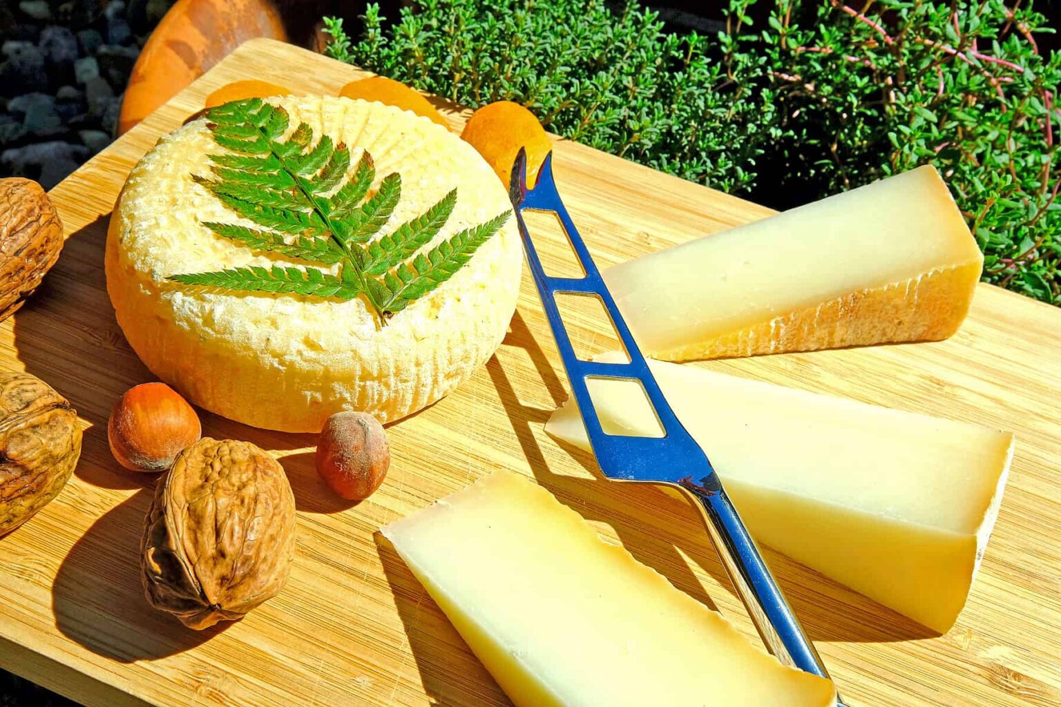 7 BEST CORSICAN WINE AND FOOD PAIRINGS