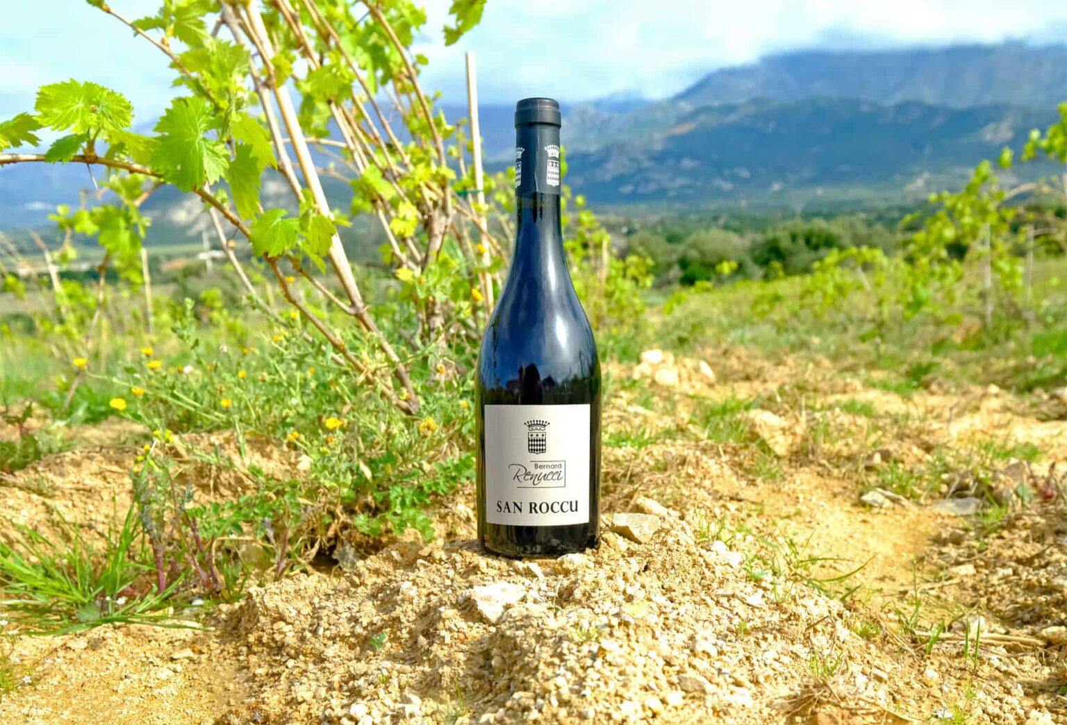 7 BEST CORSICAN WINE AND FOOD PAIRINGS
