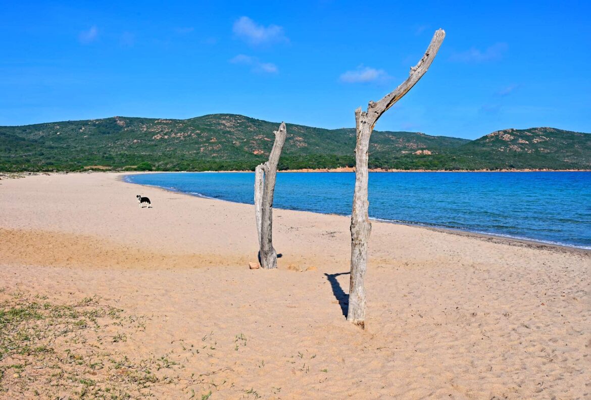 balistra-beach-bonifacio | COOLCORSICA