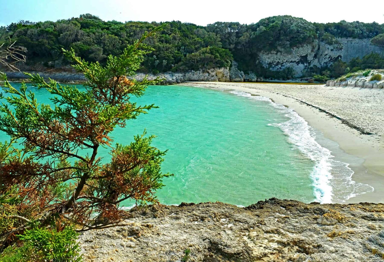 16 STUNNING BONIFACIO BEACHES YOU CAN’T MISS