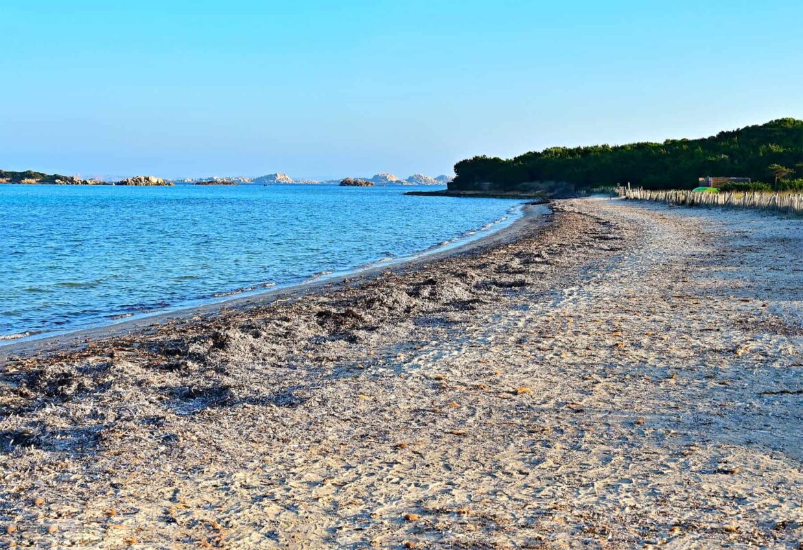 piantarella-beach-corsica | COOLCORSICA