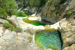 IS CORSICA WORTH VISITING? 10 REASONS WHY IT SHOULD BE ON YOUR BUCKET LIST